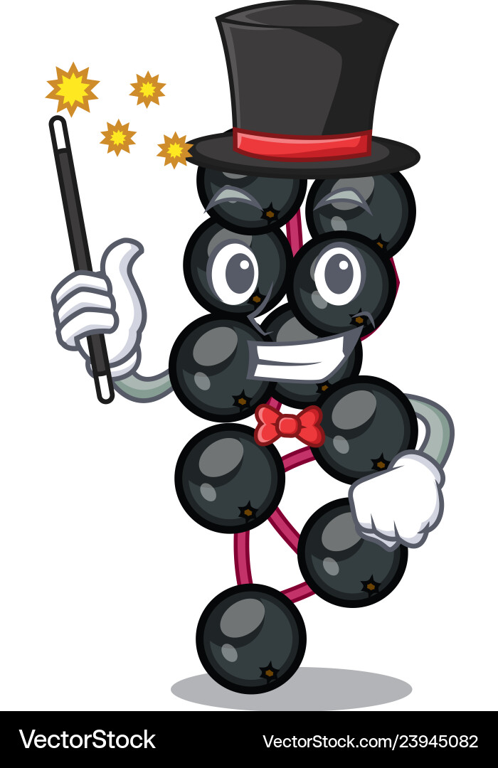 Magician elderberry fruit is isolated Royalty Free Vector