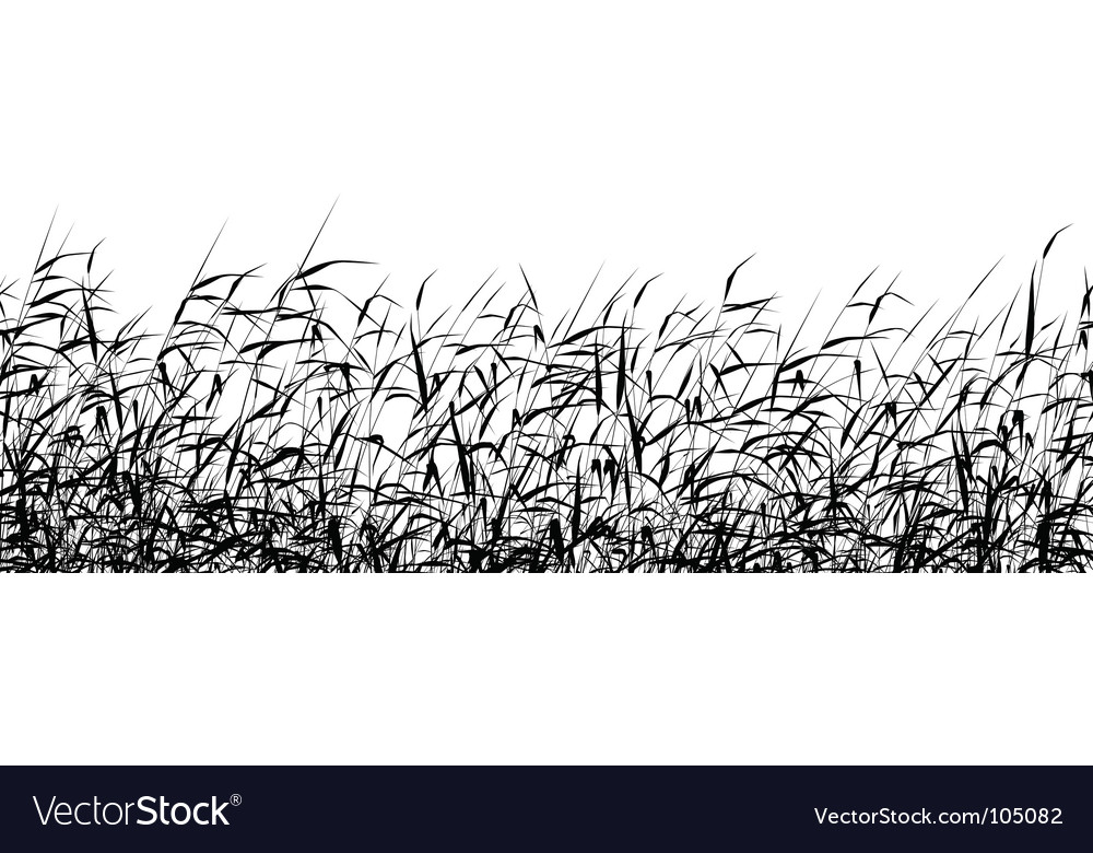 Reed foreground Royalty Free Vector Image - VectorStock