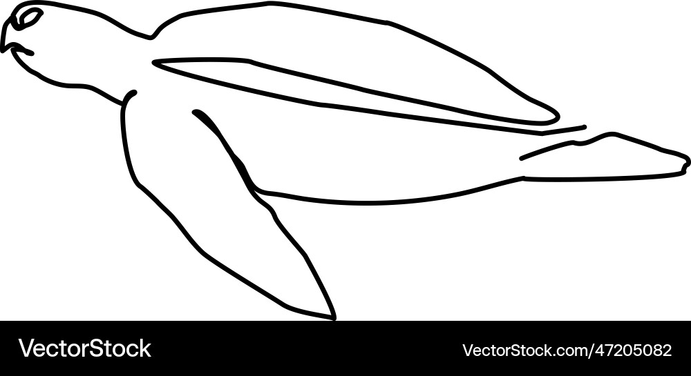Turtle of design on a white background Royalty Free Vector
