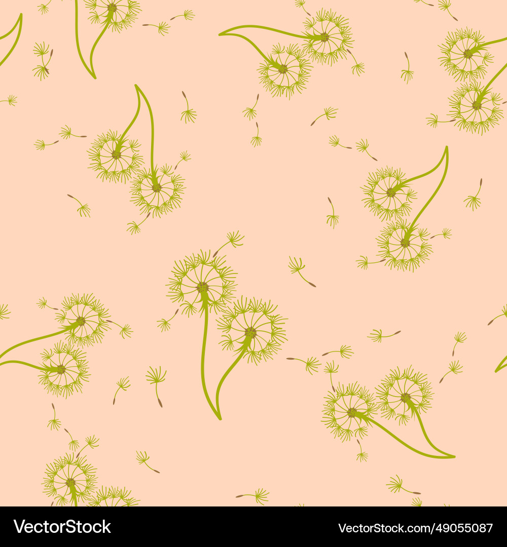 Dandelion background your design abstract floral Vector Image