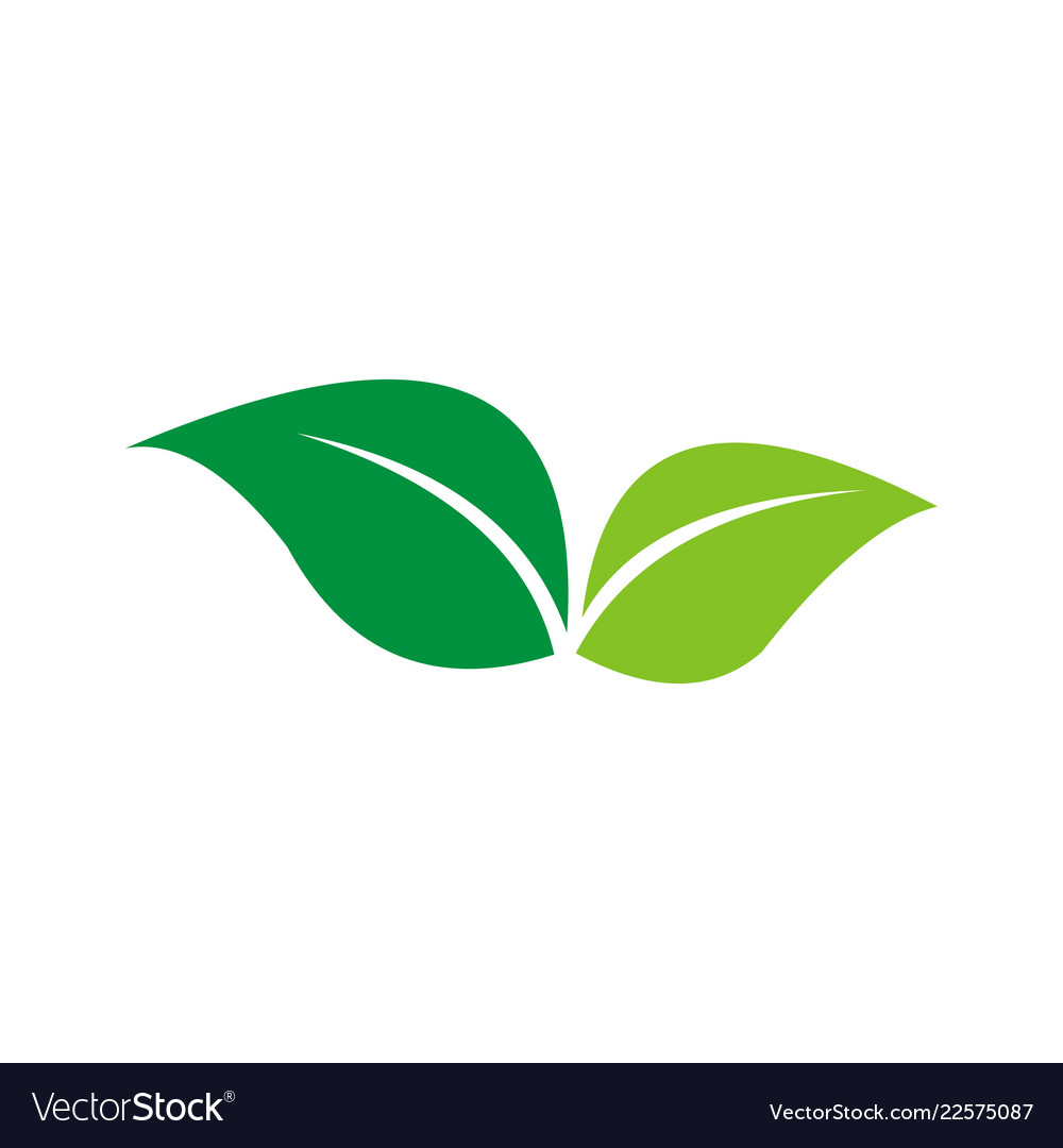 Leaf logo store