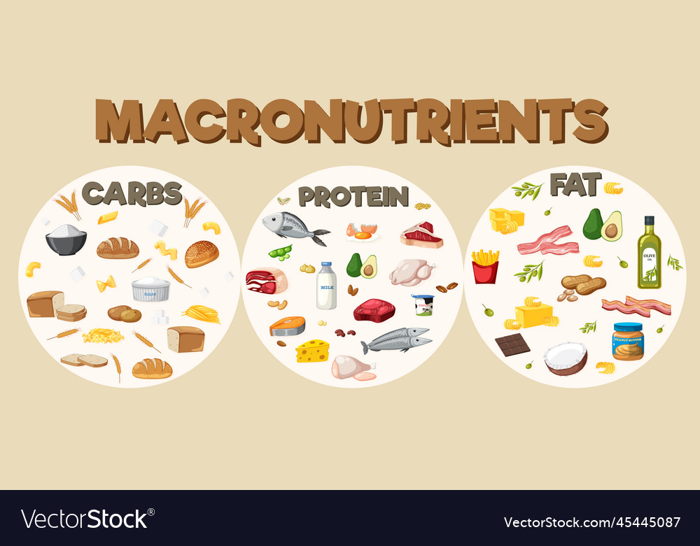 Macronutrients diagram with food ingredients Vector Image Macronutrients diagram with food ingredients Vector Image