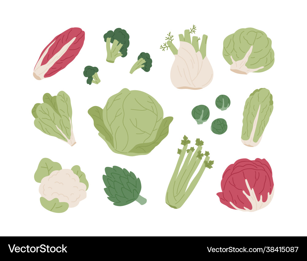Set raw organic farm vegetables red Royalty Free Vector