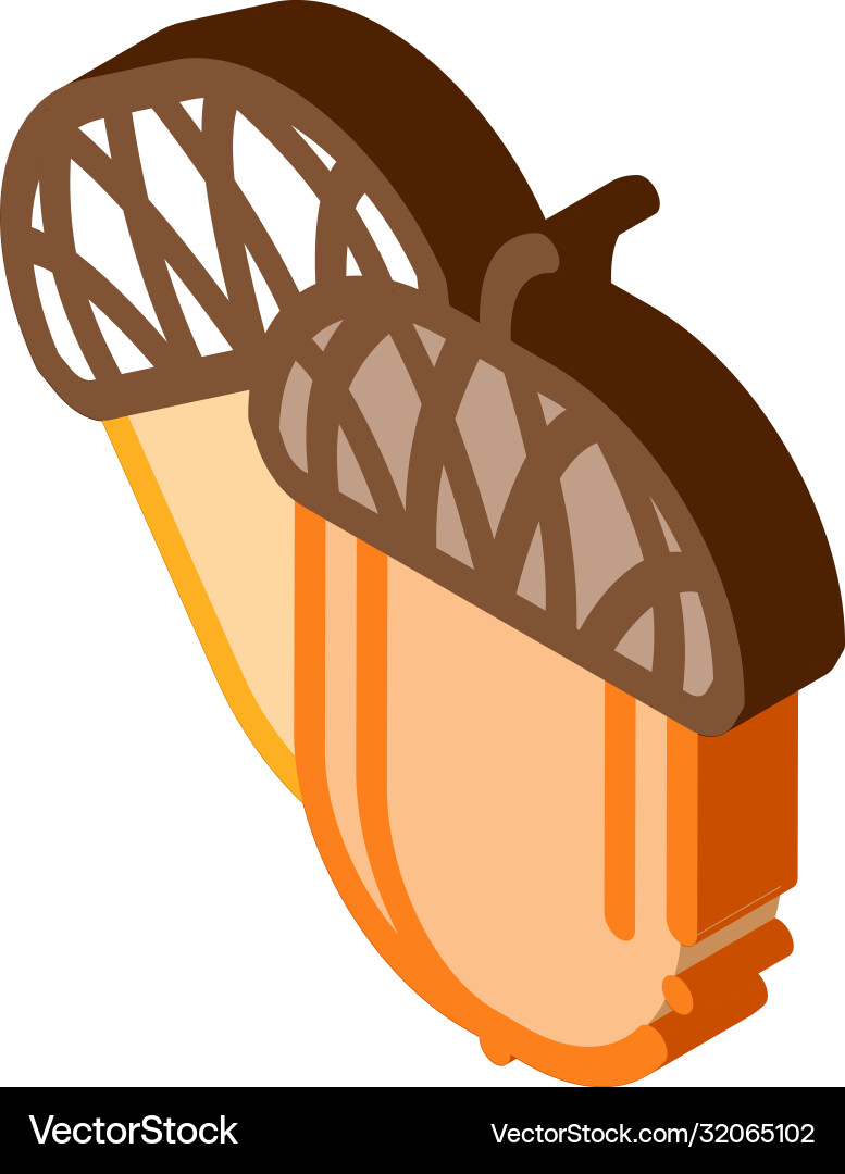 Acorn nut isometric icon Royalty Free Vector Image