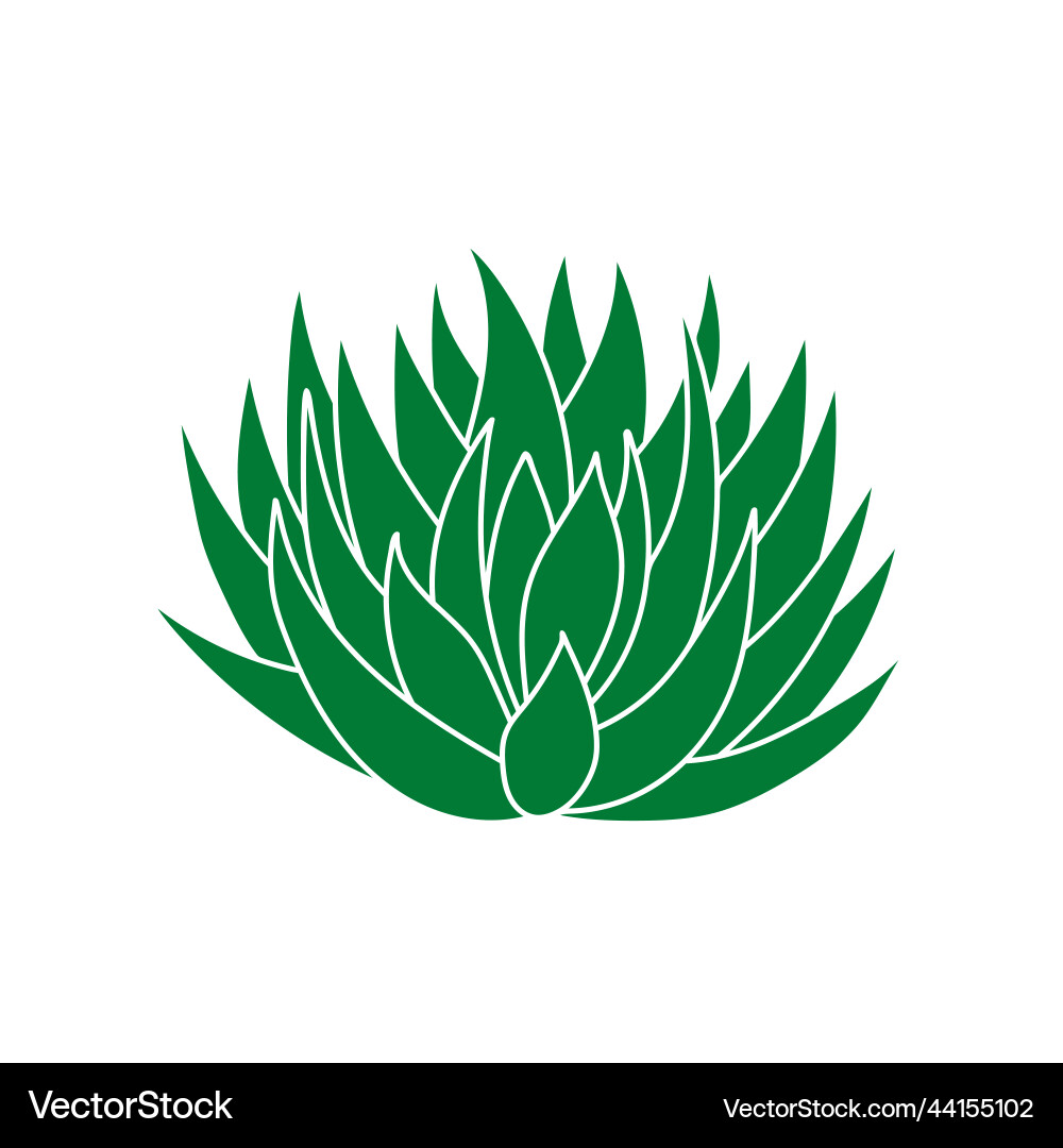 Agave green plant in flat style Royalty Free Vector Image