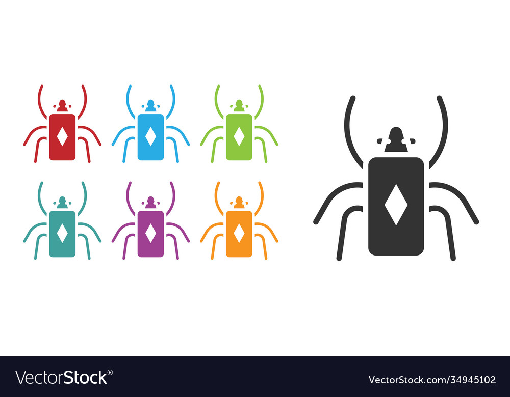 Black beetle bug icon isolated on white background