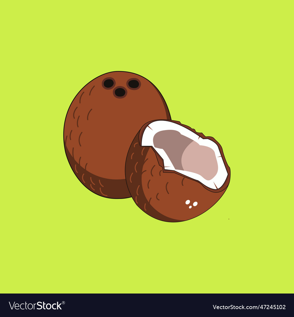 Coconut shell Royalty Free Vector Image - VectorStock