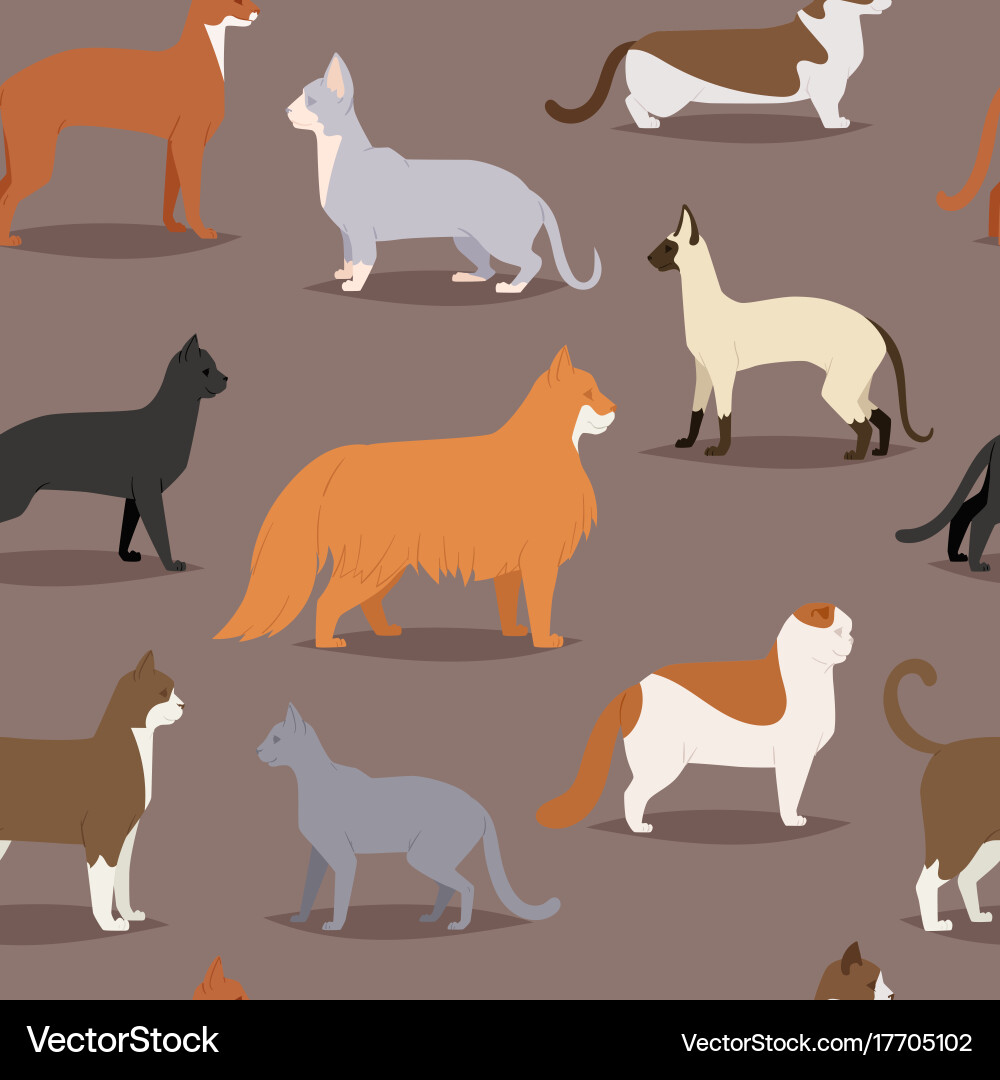 Different cat breeds cute kitty pet cartoon Vector Image