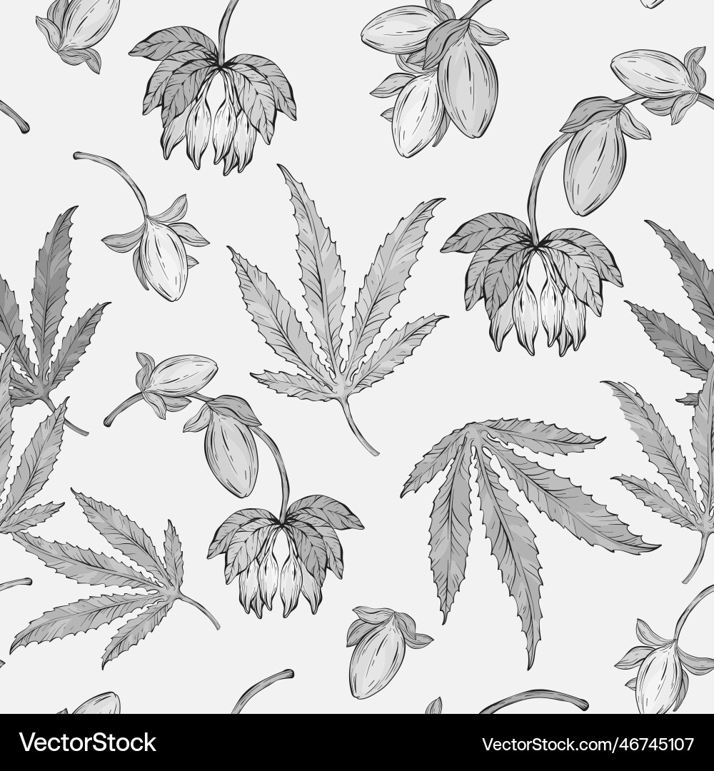 Cannabis leaves and flowers seamless pattern Vector Image