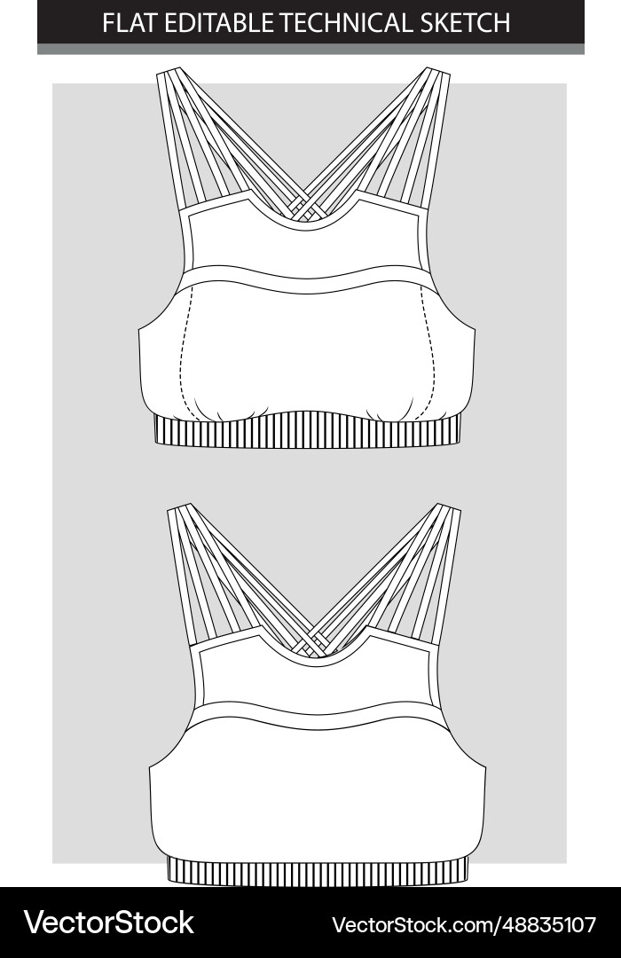 Womens lingerie bra front and back Royalty Free Vector Image