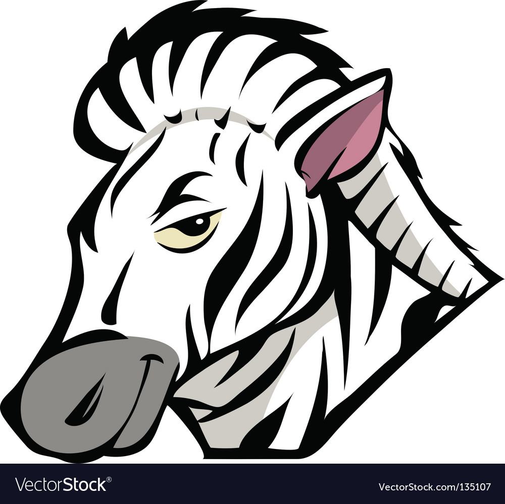 Zebra Royalty Free Vector Image - VectorStock