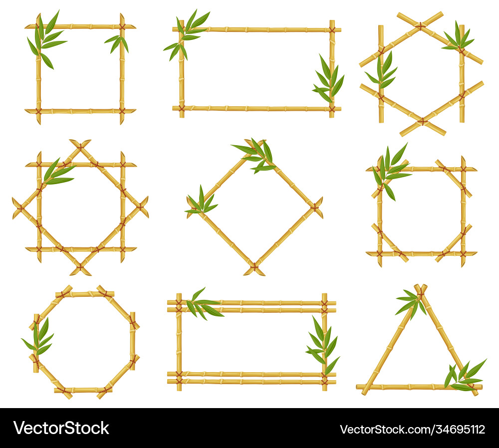Bamboo cartoon frames steam frame bamboo stalks Vector Image