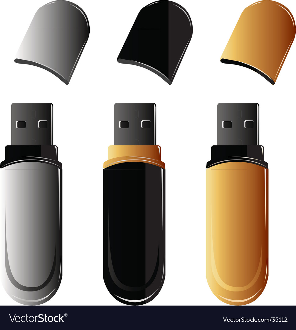 Usb keys Royalty Free Vector Image - VectorStock
