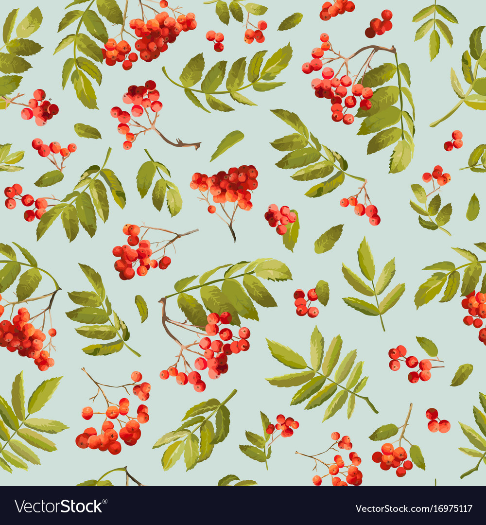 Autumn rowan berry seamless background Royalty Free Vector
