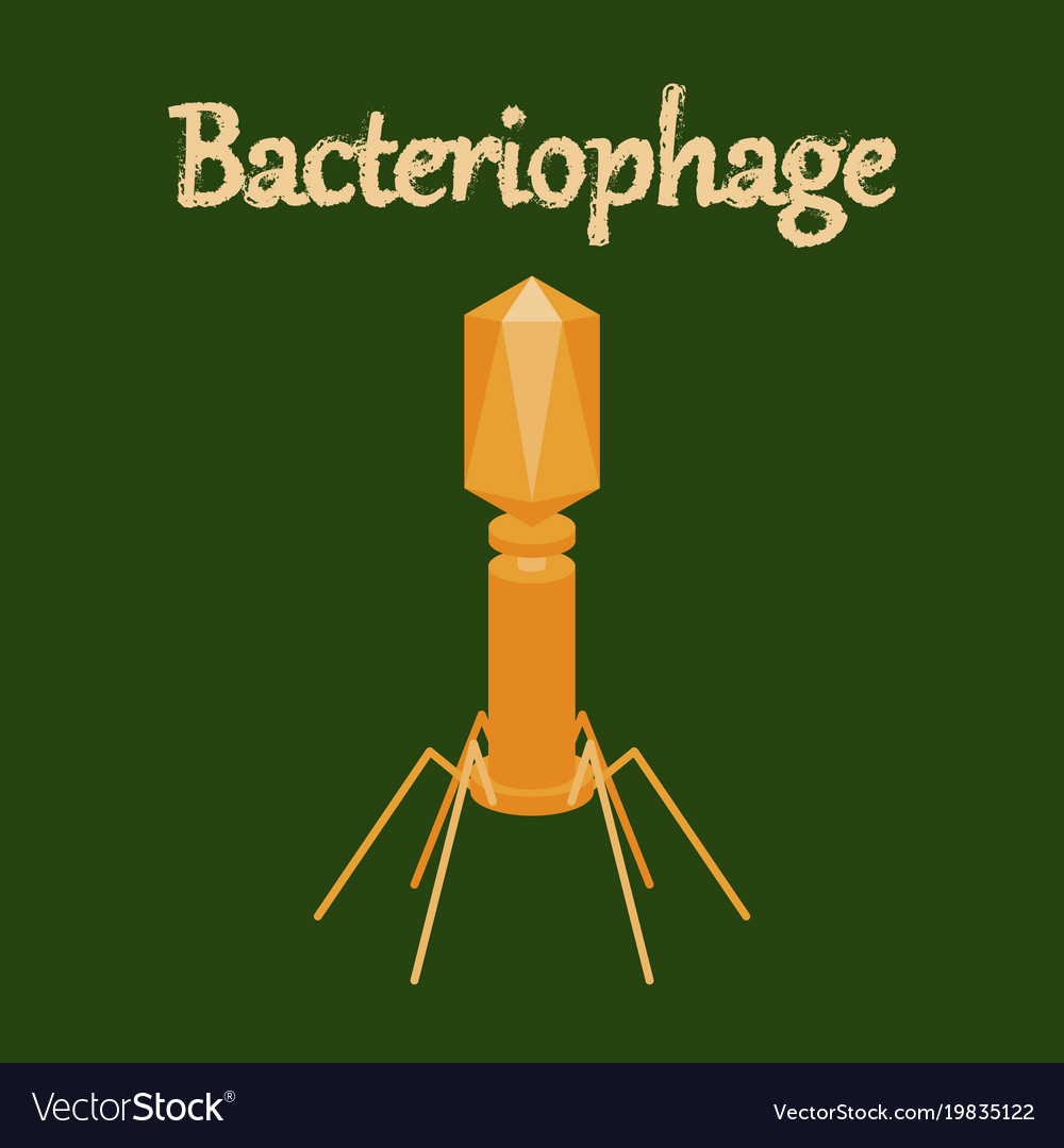Human icon in flat style bacteriophage Royalty Free Vector
