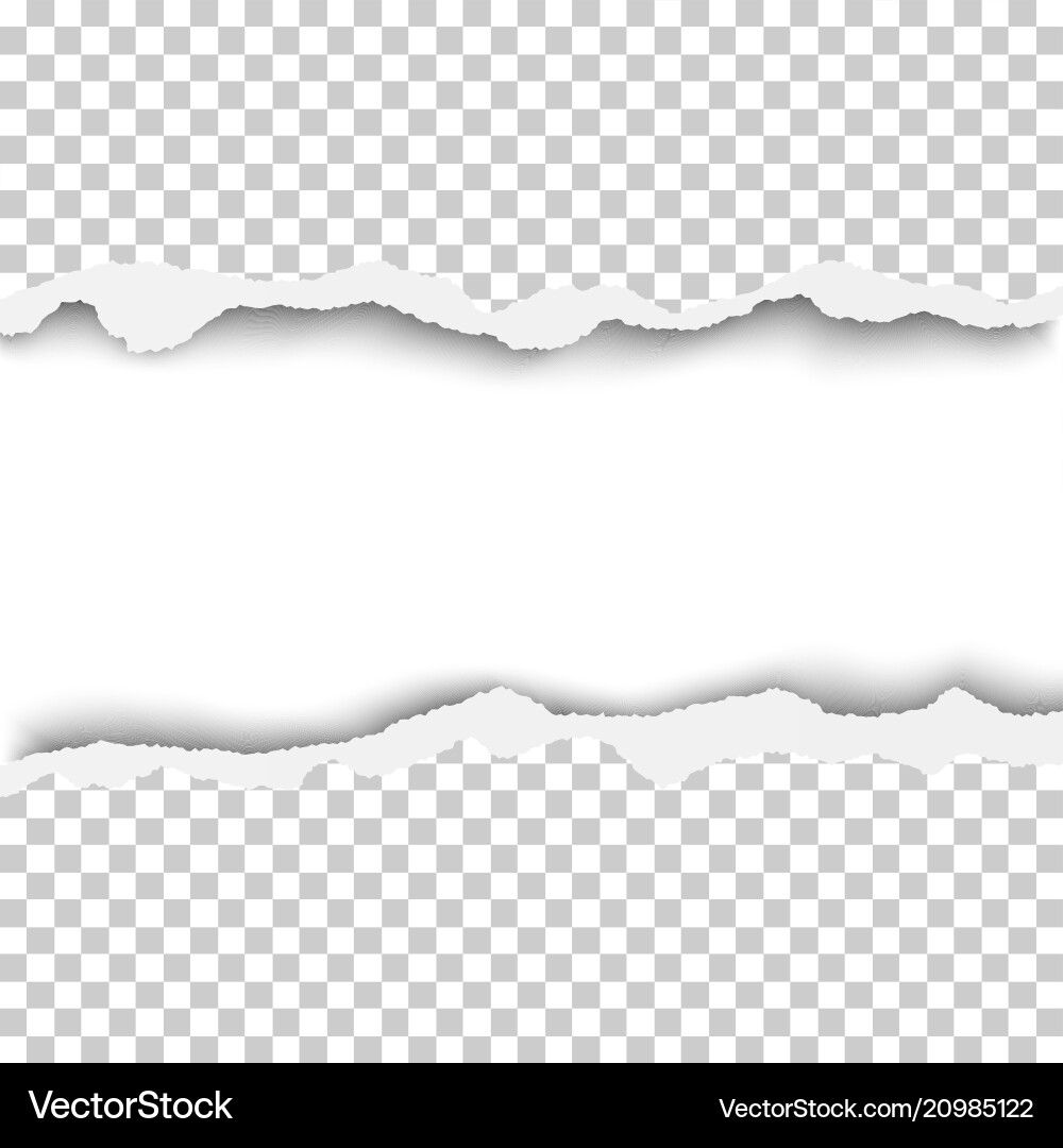 Snatched horizontal lane with torn edges in sheet Vector Image