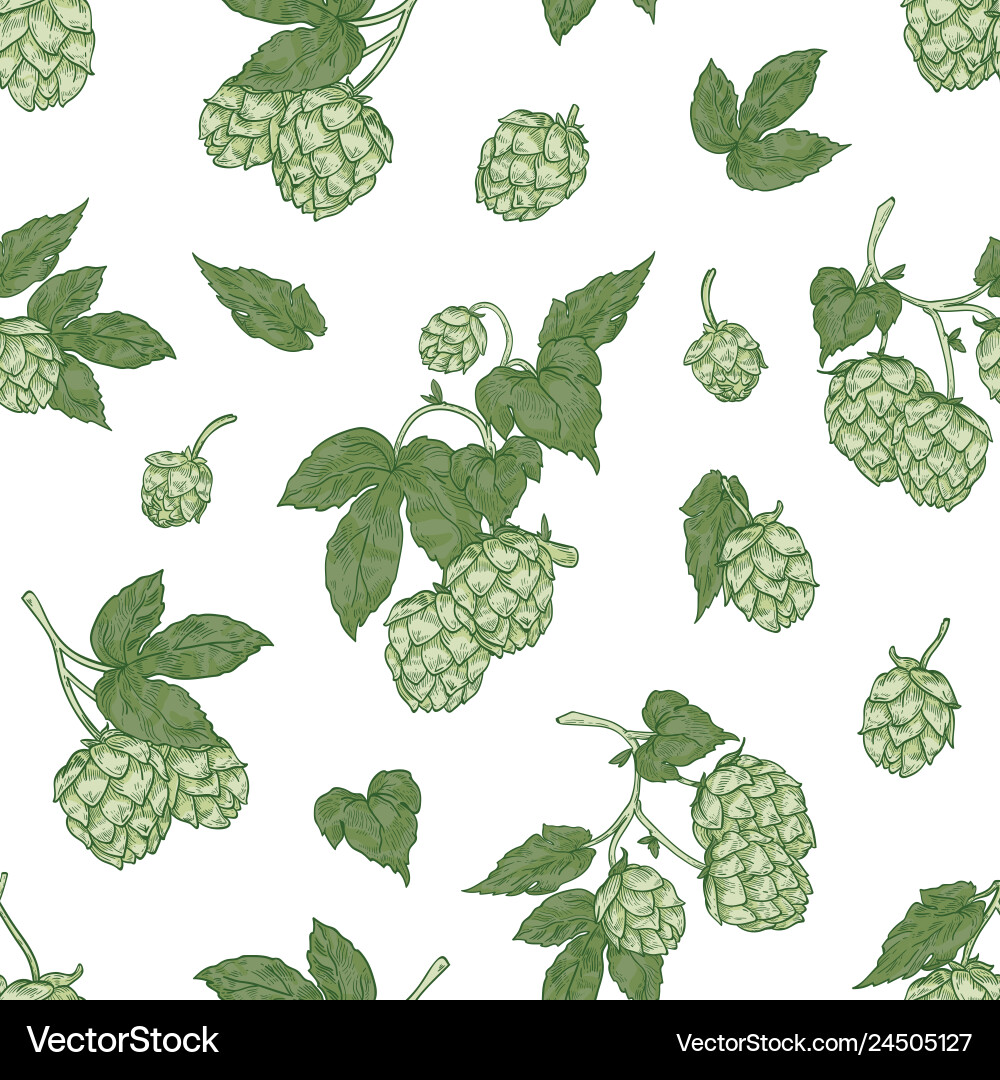 Botanical seamless pattern with fresh organic hop Vector Image