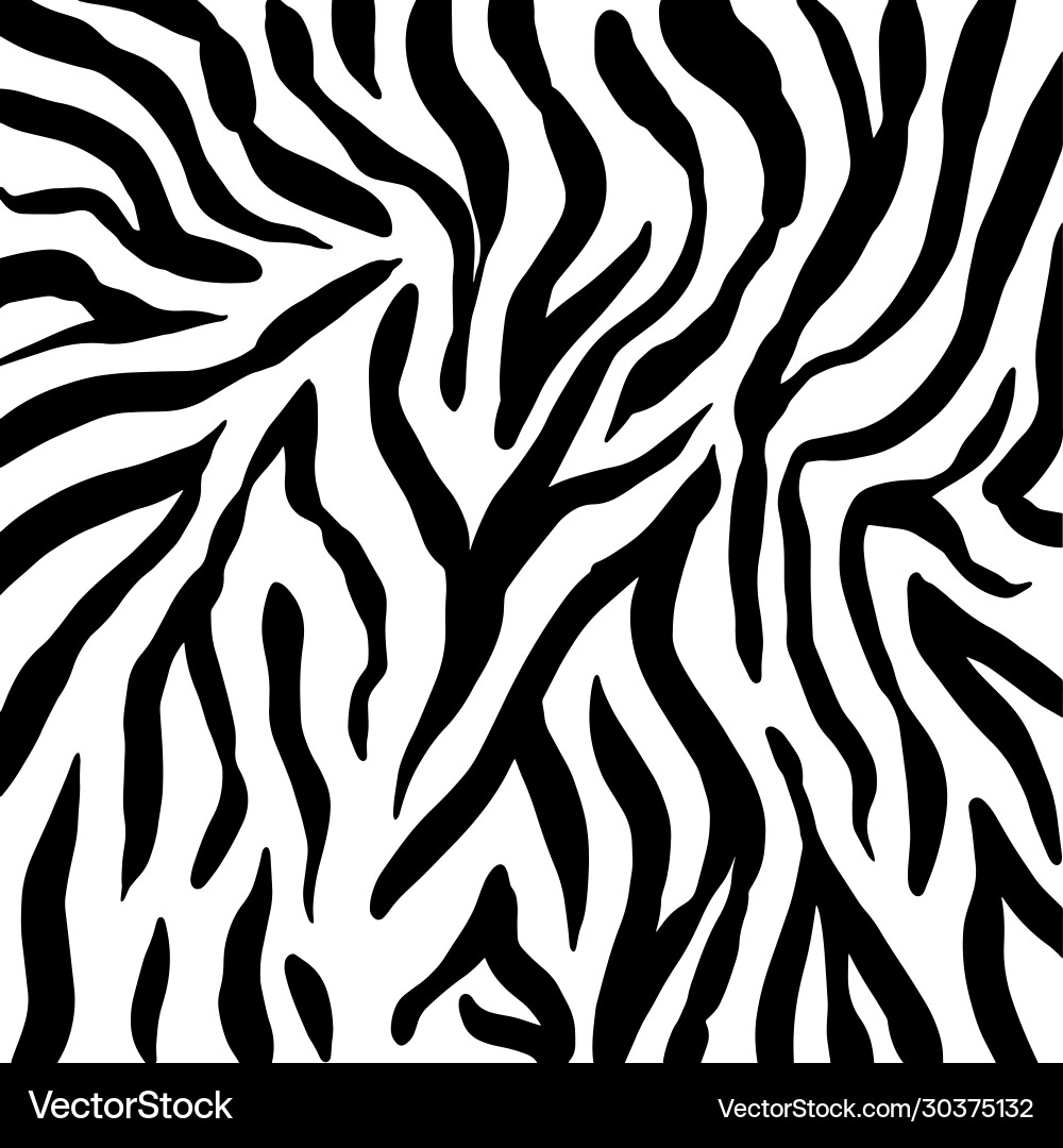 Animal background zebra texture mammals fur Vector Image