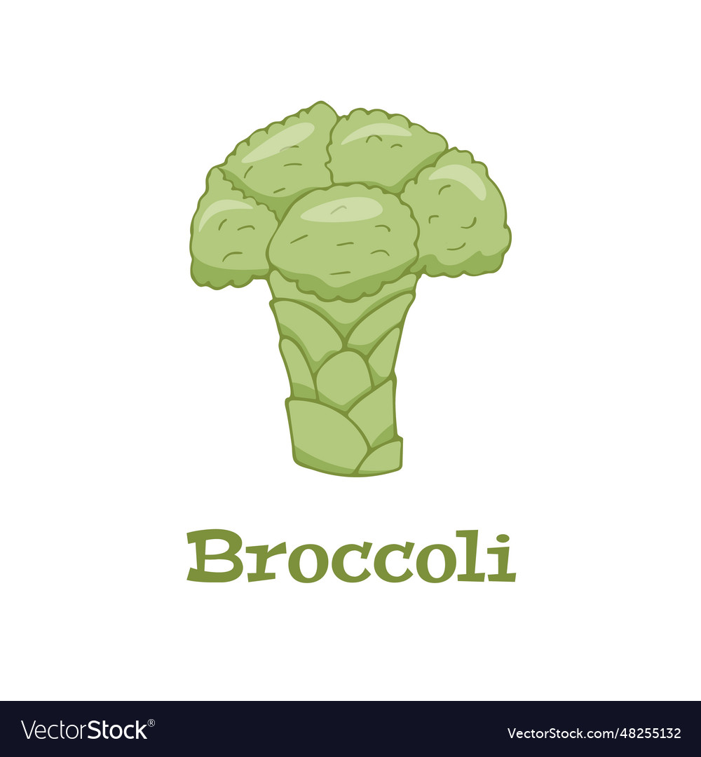 Broccoli simple flat logo Royalty Free Vector Image
