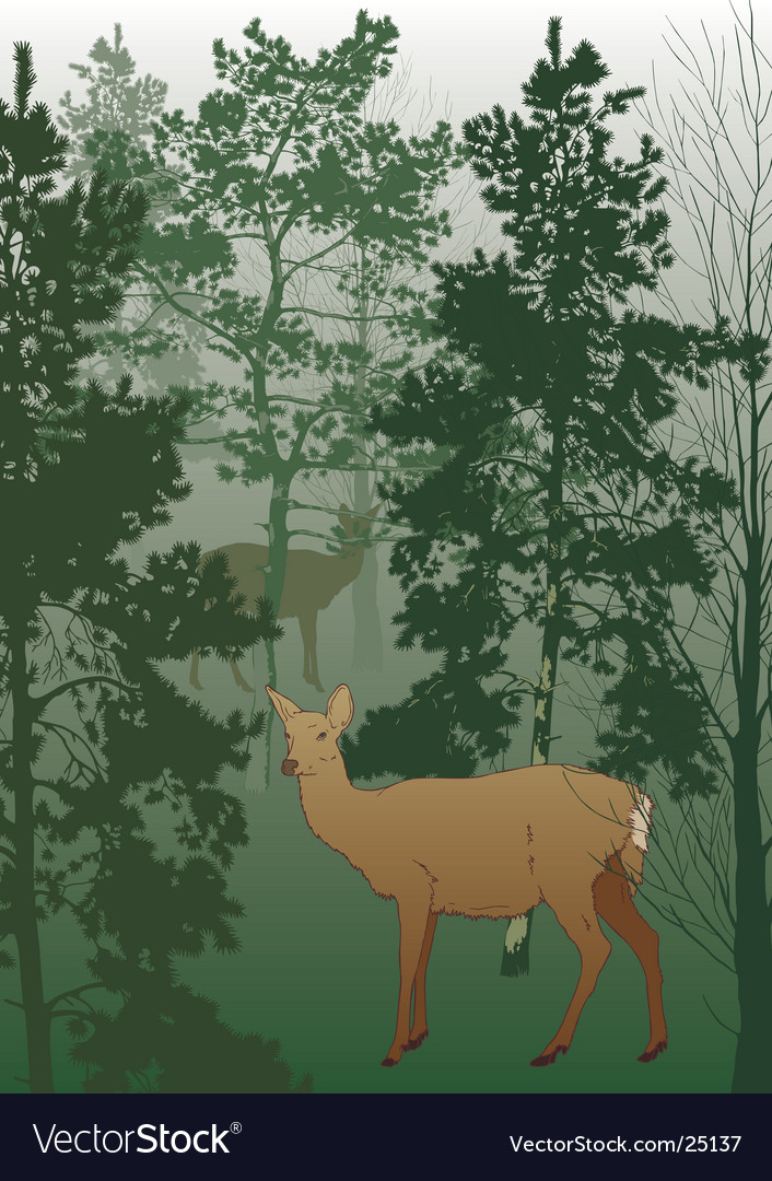 Forest Royalty Free Vector Image - VectorStock