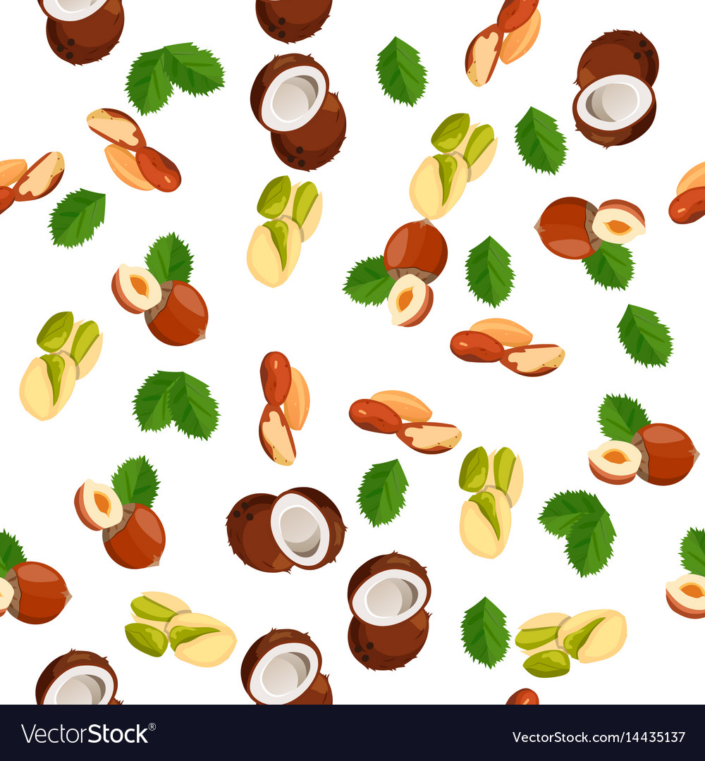 Nuts Royalty Free Vector Image - VectorStock