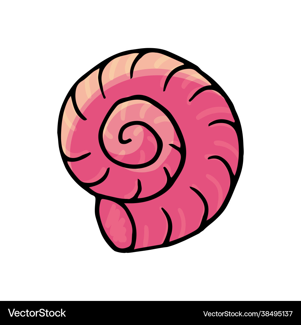 Swirling shell marine theme icon in hand draw Vector Image