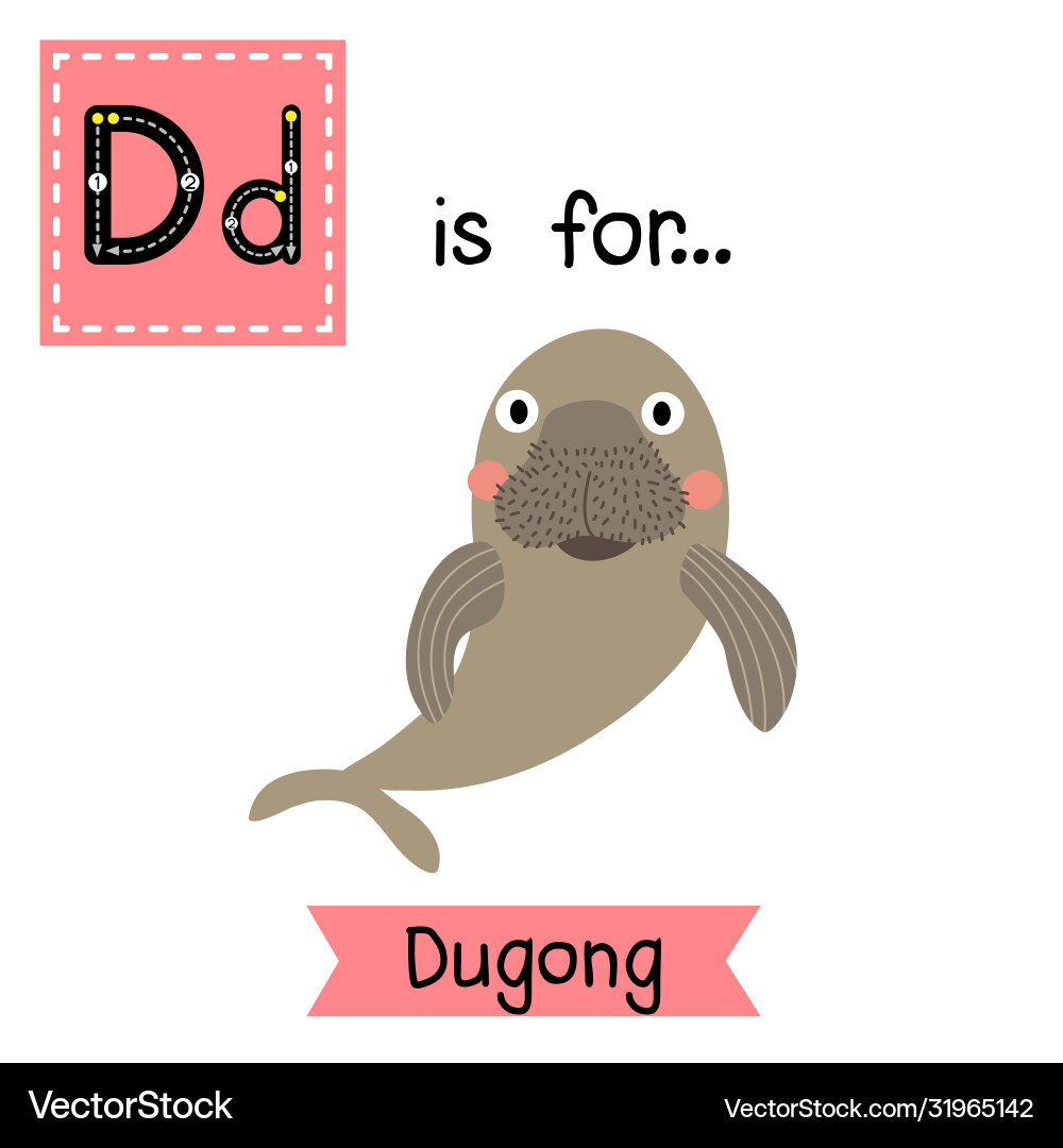 Letter d tracing happy dugong Royalty Free Vector Image