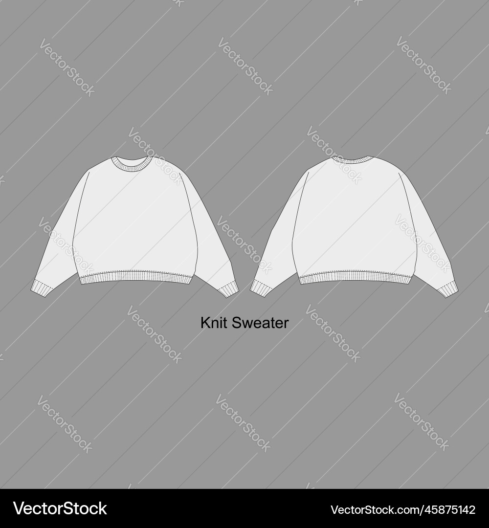 Long sleeve and knit sweater set apparel Vector Image