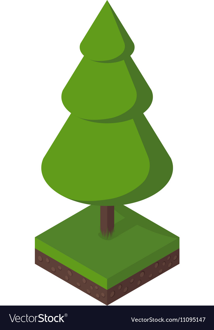 Isometric tree Royalty Free Vector Image - VectorStock