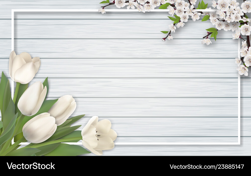 Spring sale frame with tulips and branch Vector Image