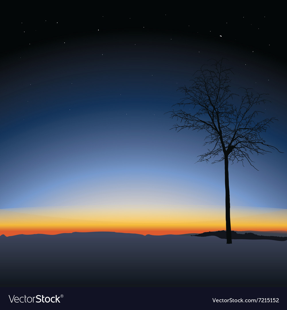 Tree on sunset background Royalty Free Vector Image