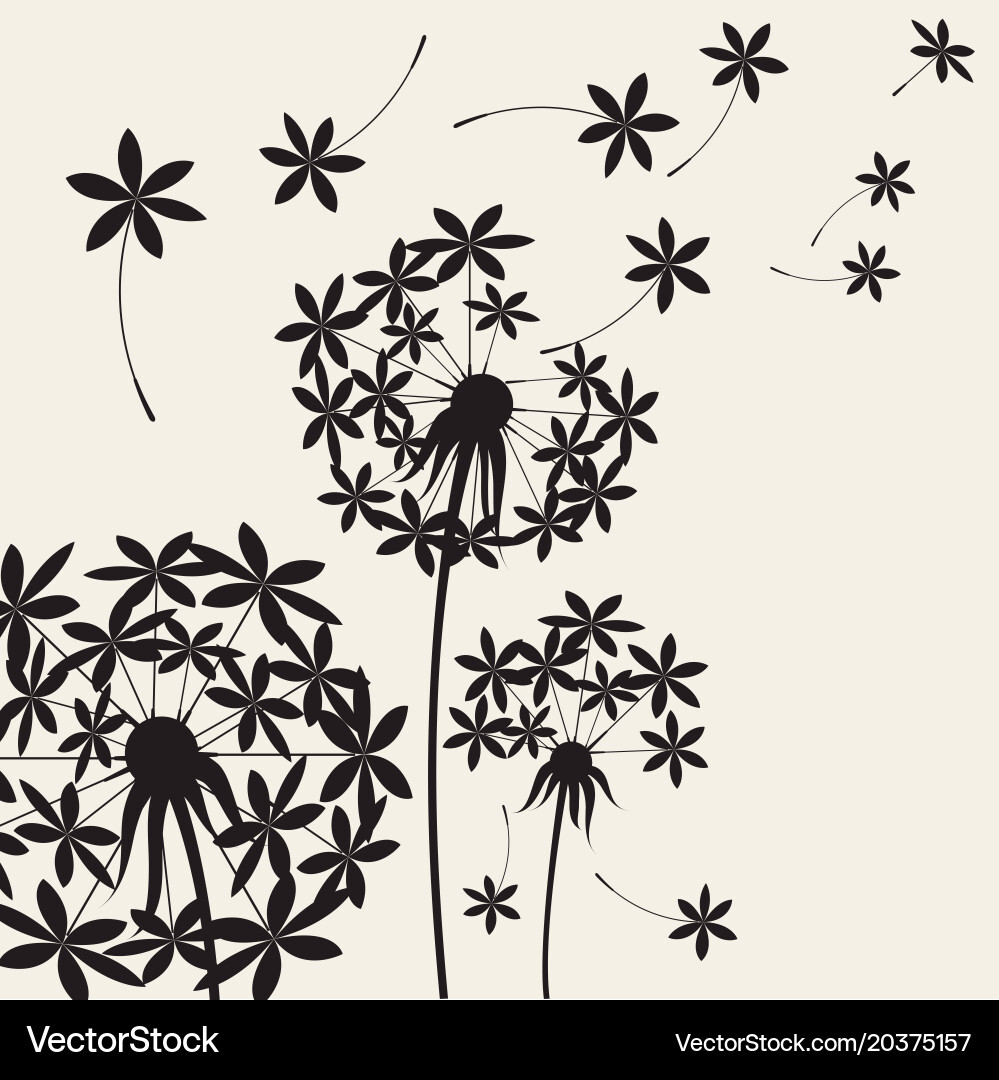 Abstract dandelions dandelion with flying seeds Vector Image