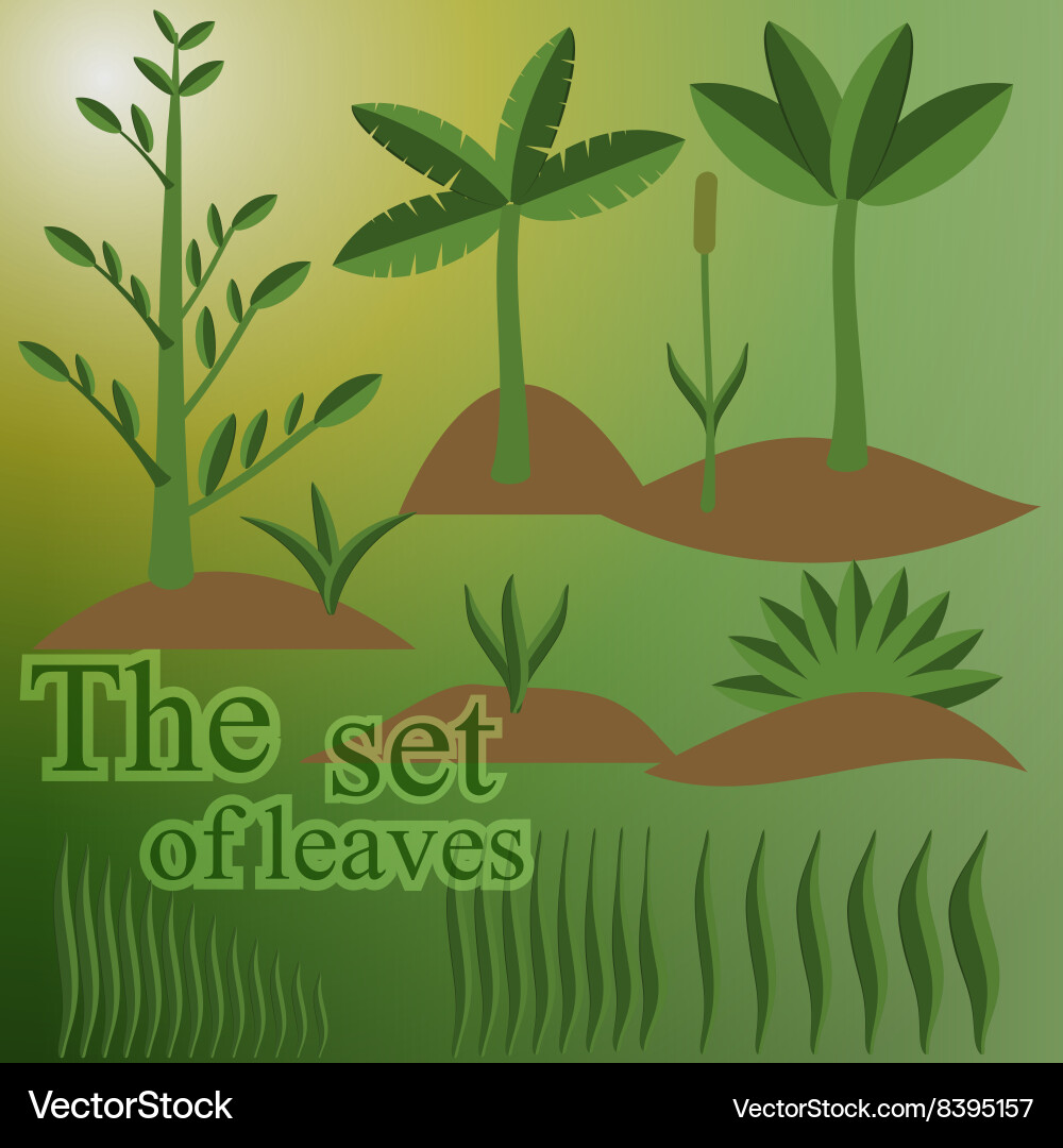 Set of leaves Royalty Free Vector Image - VectorStock