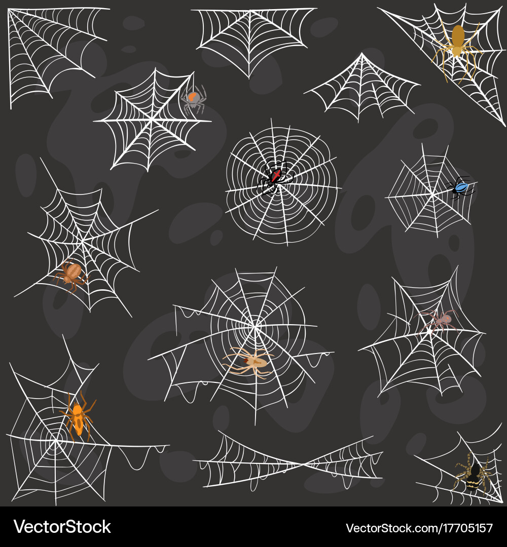 Spider halloween celebration decoration web Vector Image
