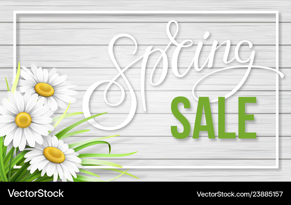 Spring sale frame with chamomiles on wood Vector Image