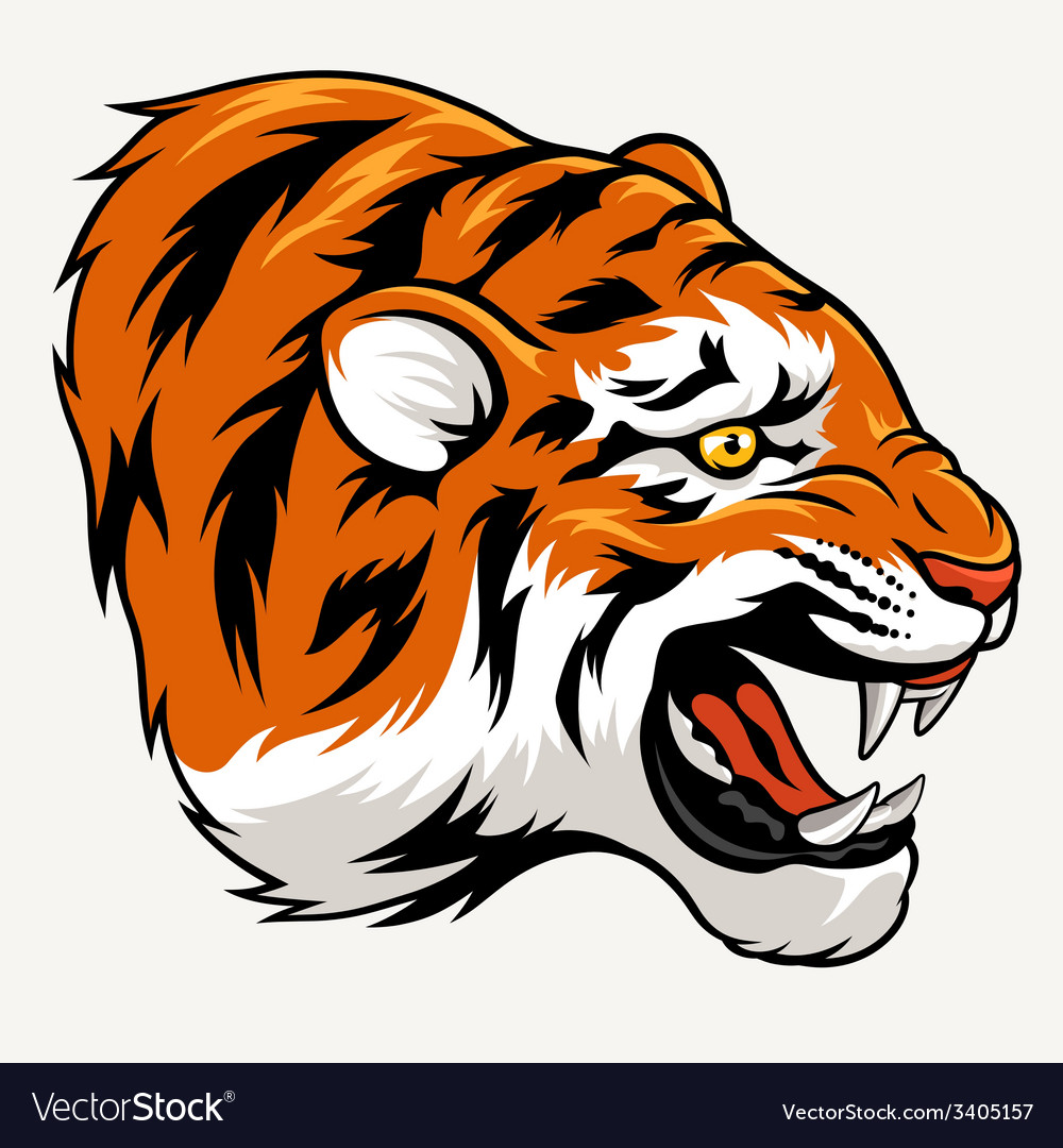 Tiger Head Royalty Free Vector Image - VectorStock Tiger Head Royalty Free Vector Image - VectorStock