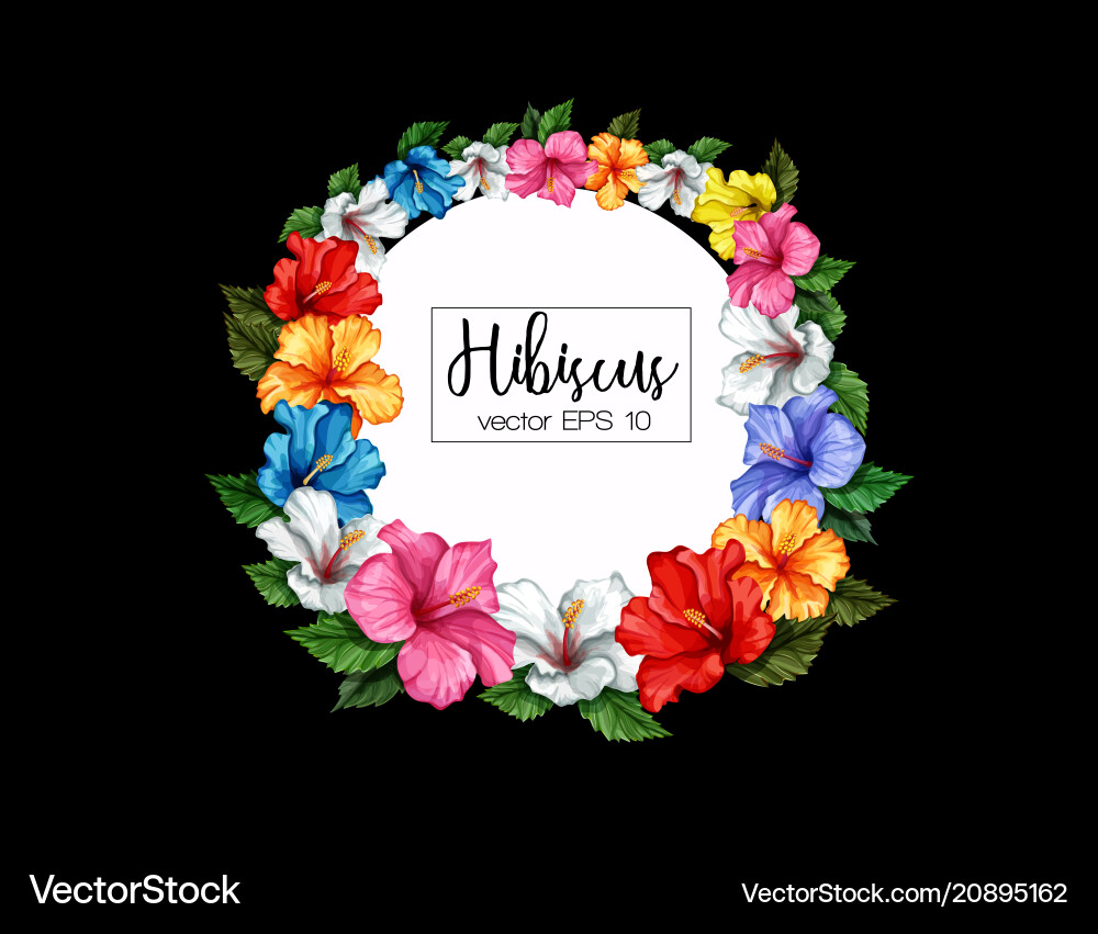 Tropical leaf hibiscus flower frame banner Vector Image