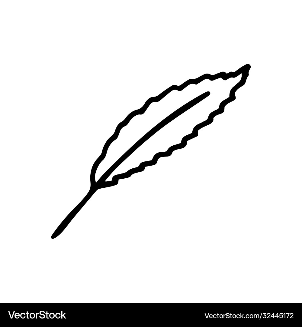Feather In Style Doodle Royalty Free Vector Image