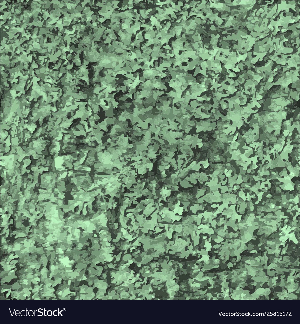 Lichen pattern background seamless Royalty Free Vector Image