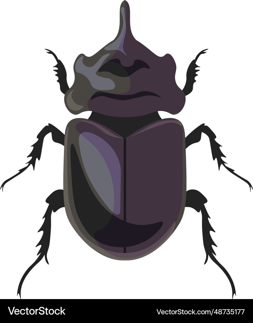 Bug rhinoceros beetle dynastinae insects Vector Image