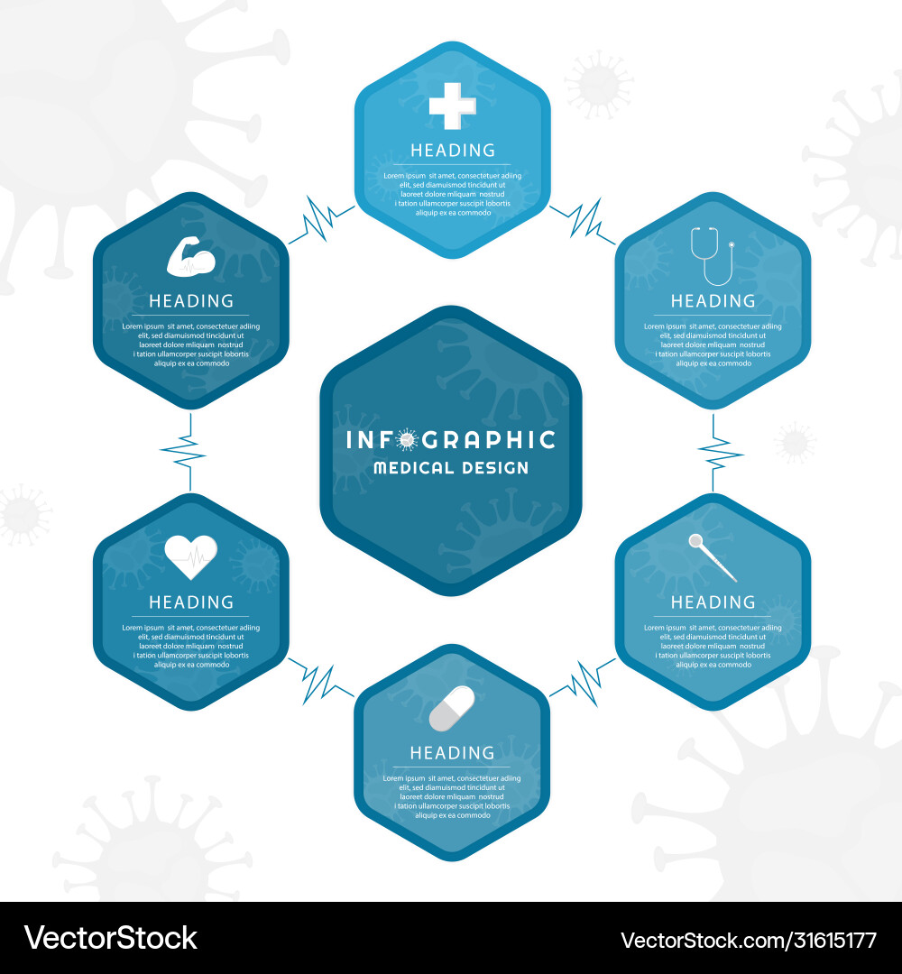 Infographic for medical hexagon shape design step Vector Image