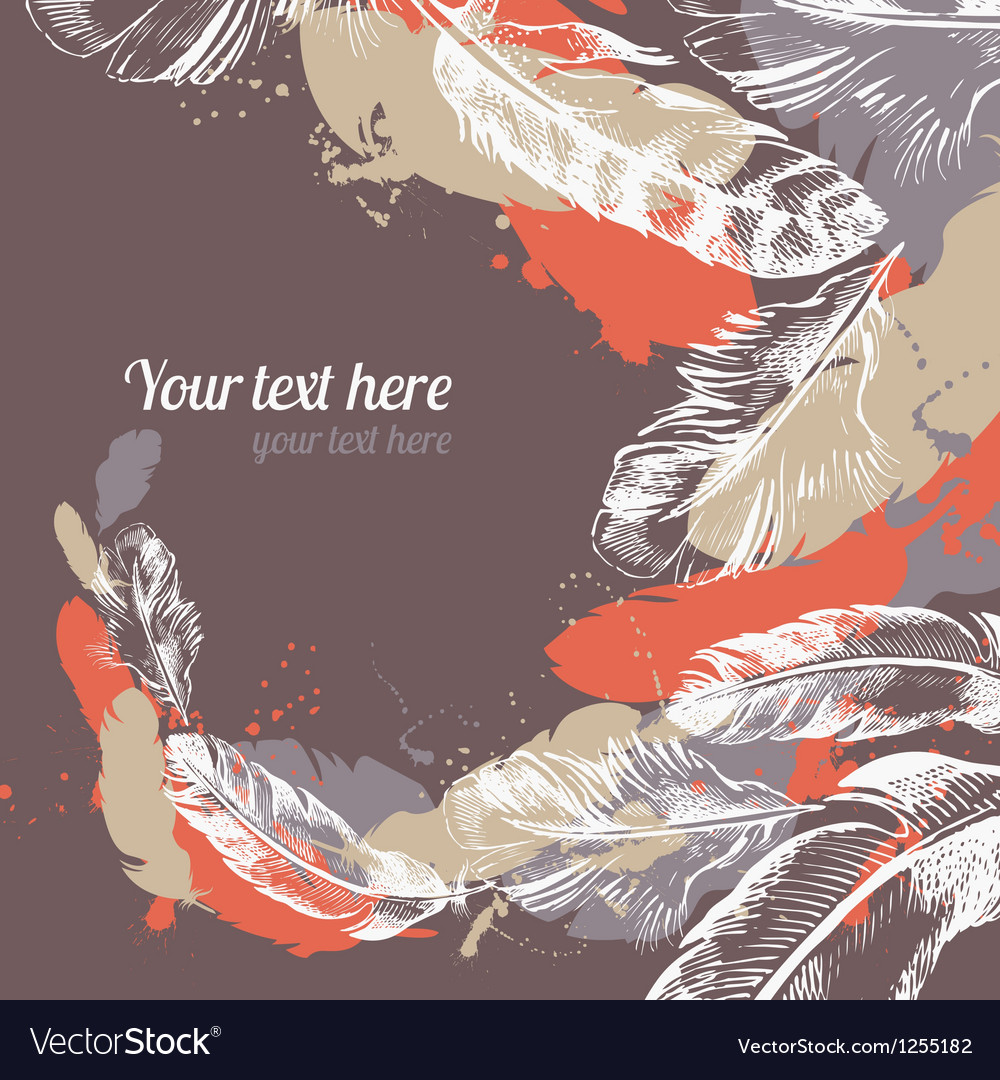 Feather background Royalty Free Vector Image - VectorStock