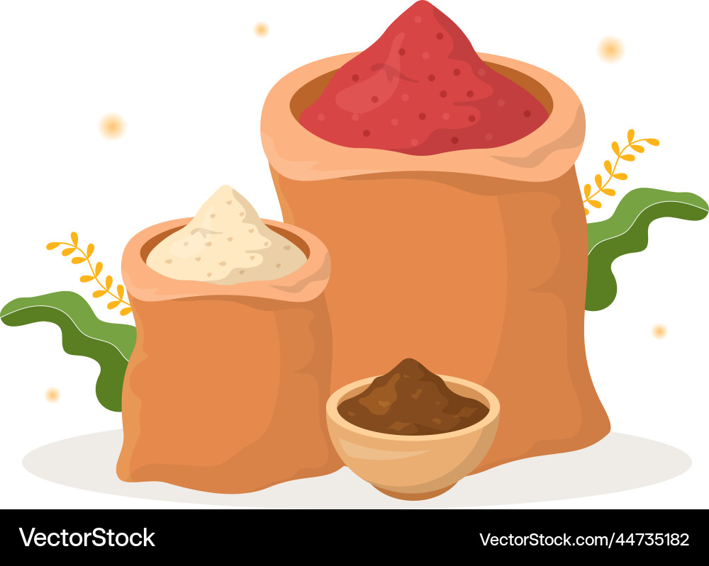 Spice shop with different hot spices condiment Vector Image