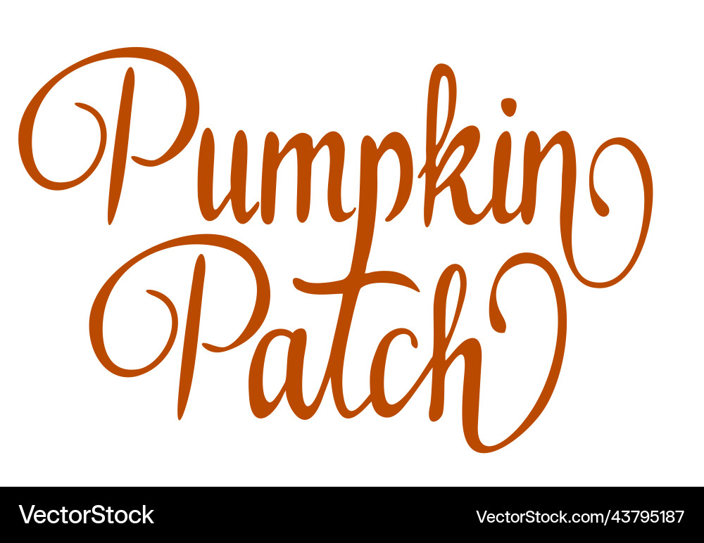 Pumpkin patch background inspirational positive Vector Image