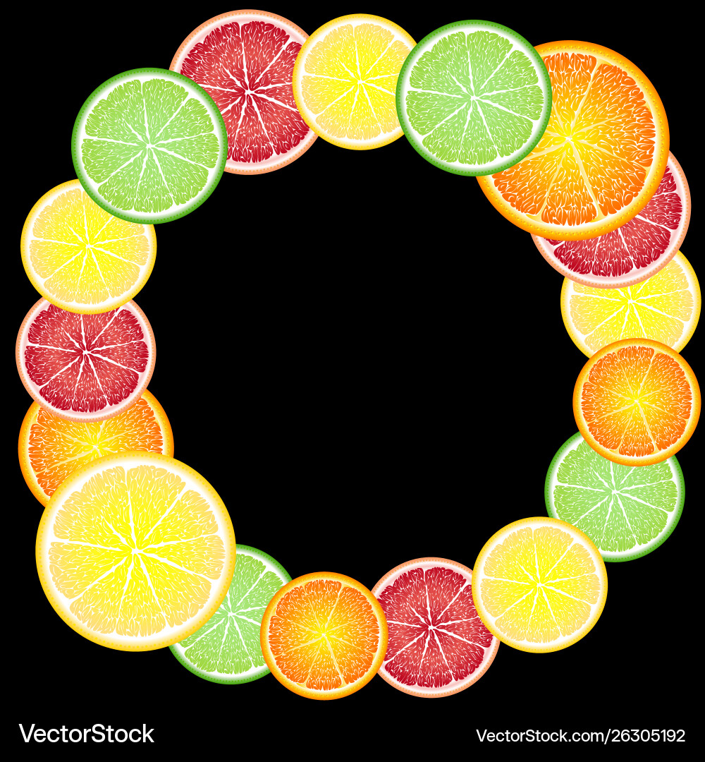 Cheerful bright frame circles citrus fruits Vector Image