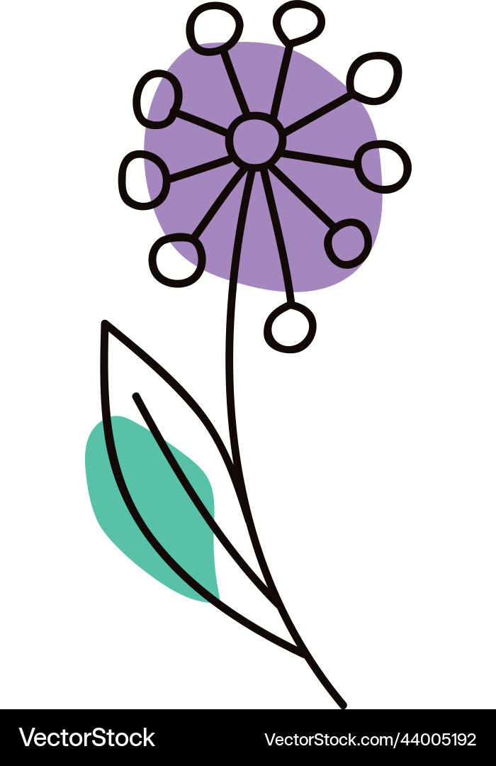 Flower purple color one line Royalty Free Vector Image