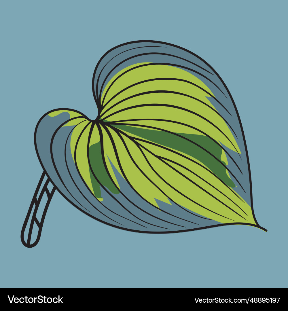 Botanical Green And Blue Leaf Plant Drawing Vector Image