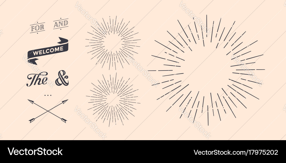 Set of sunburst vintage graphic elements Vector Image