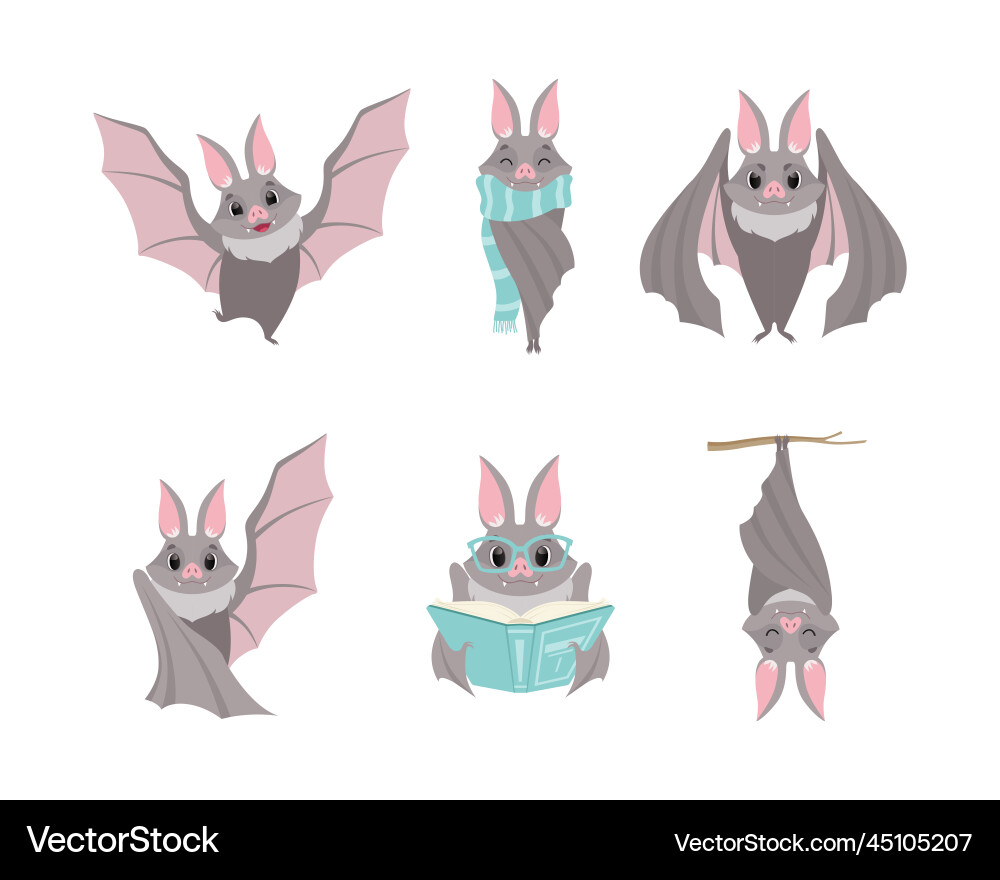 Funny gray bat with cute snout flying reading Vector Image