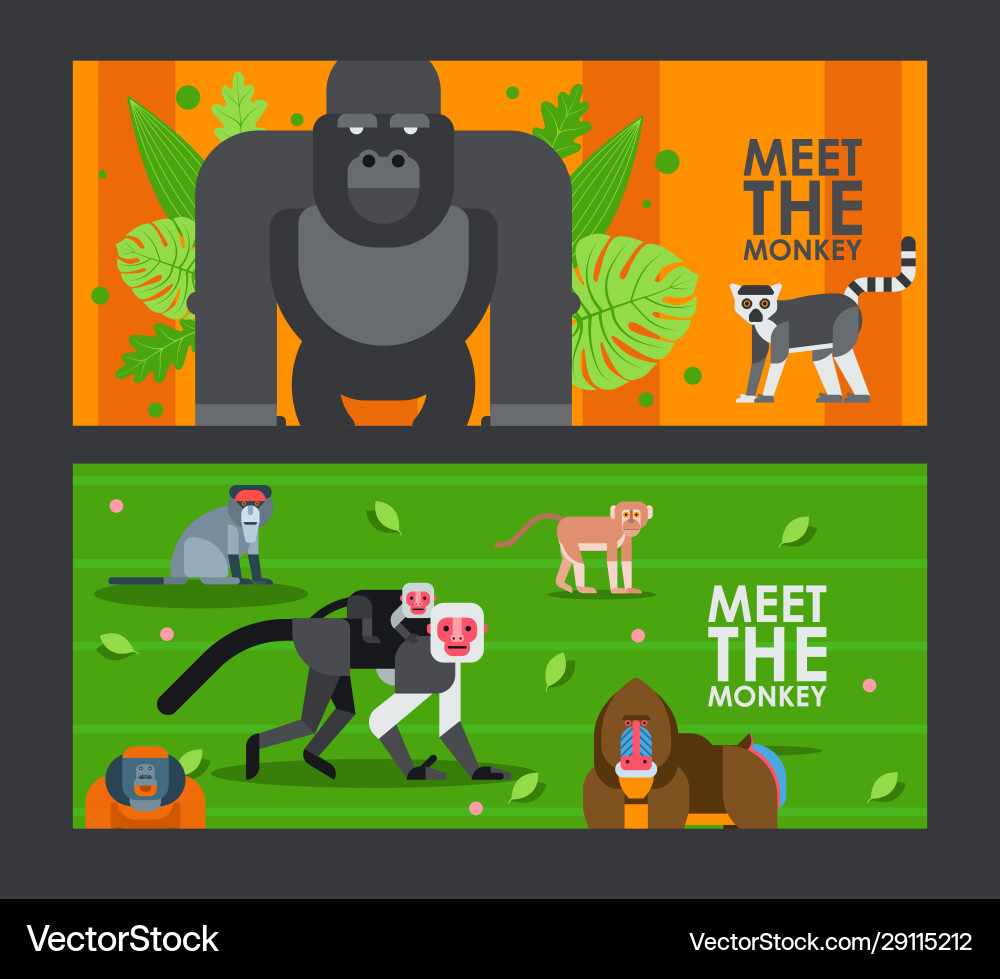 Apes and monkeys in flat style banner Royalty Free Vector